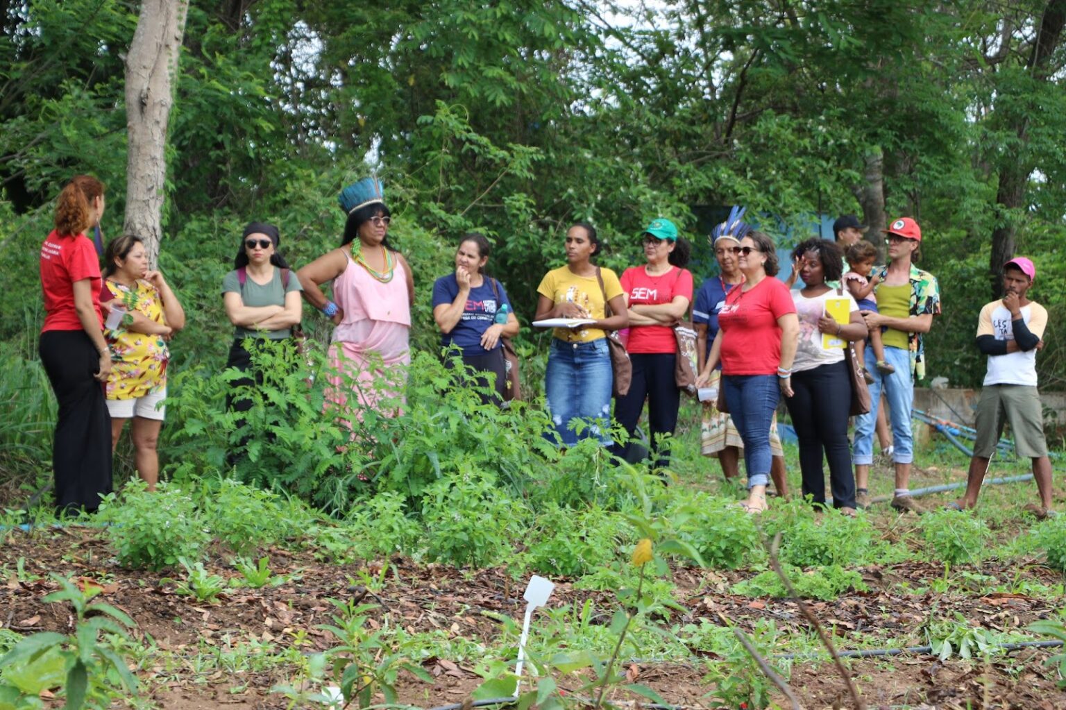 CNBB apoiou, em 2025, 234 projetos de Ecologia Integral com R$ 7.236. ...
